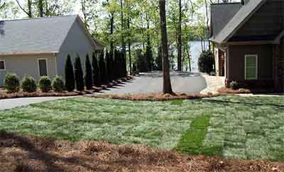 Maintenance | Piedmont Landscaping